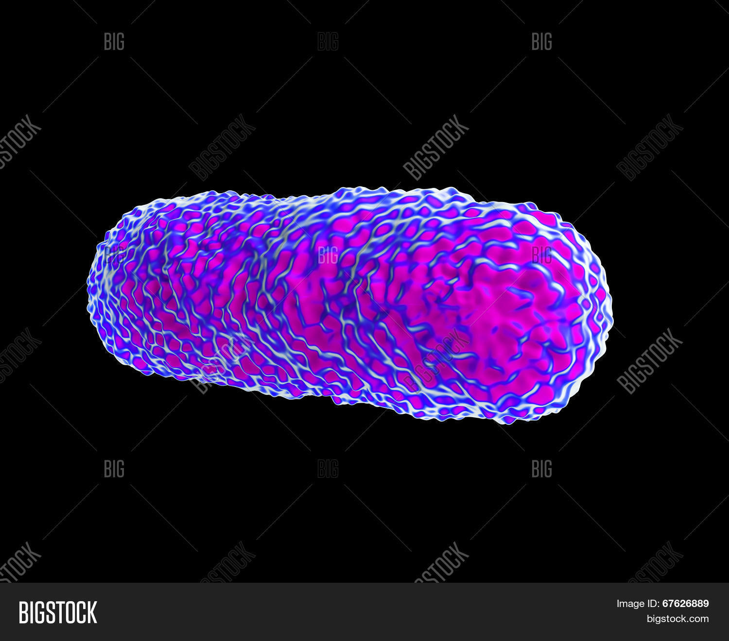 Legionella Pneumophila Image & Photo (Free Trial) | Bigstock