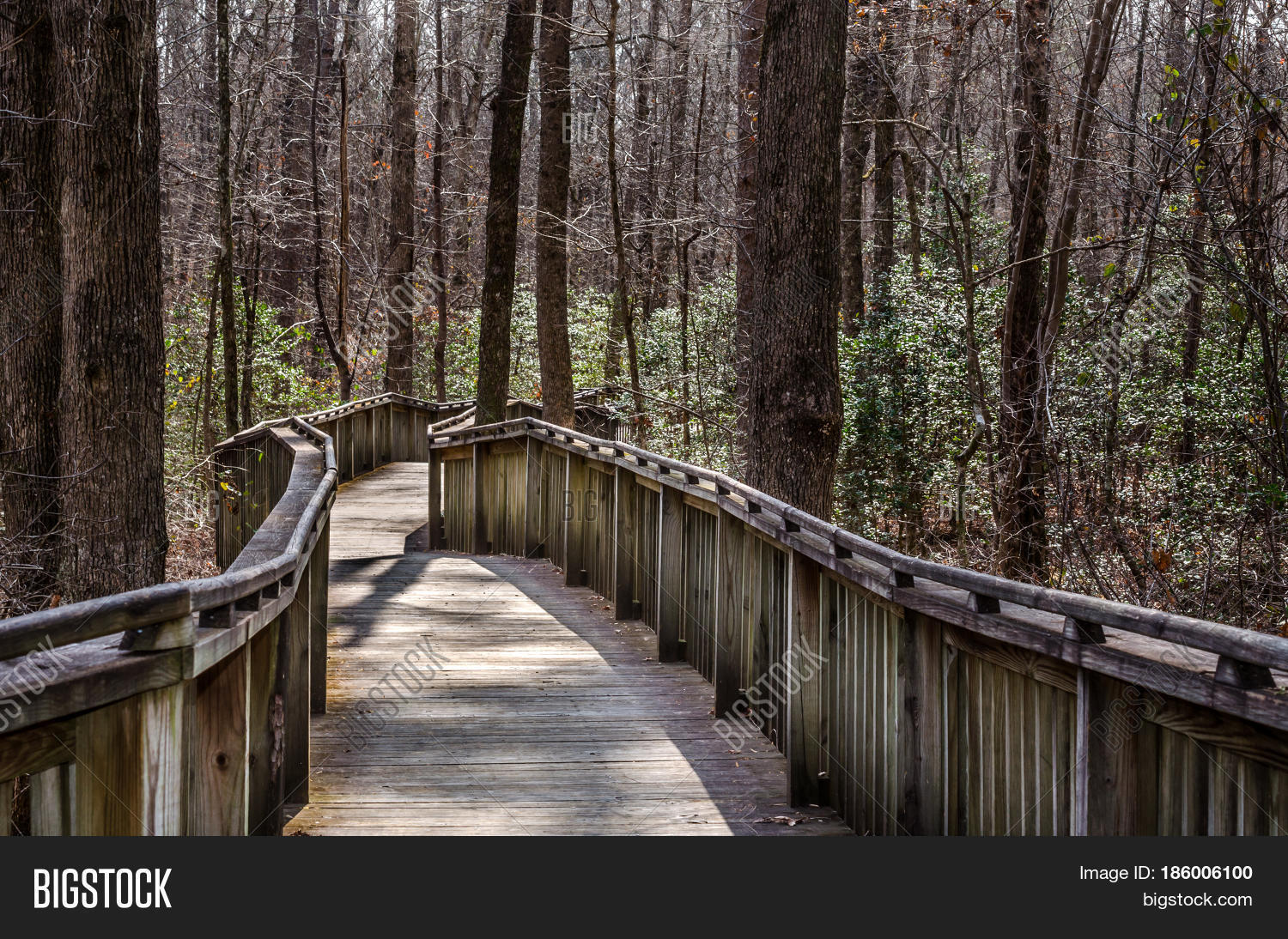 Walking Trail Thru Image & Photo (Free Trial) | Bigstock