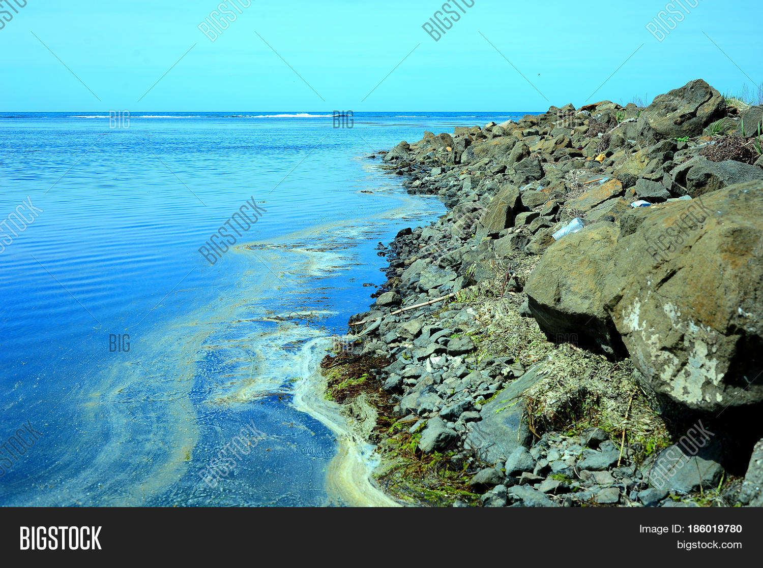 Chemical Pollution Sea Image & Photo (Free Trial) | Bigstock
