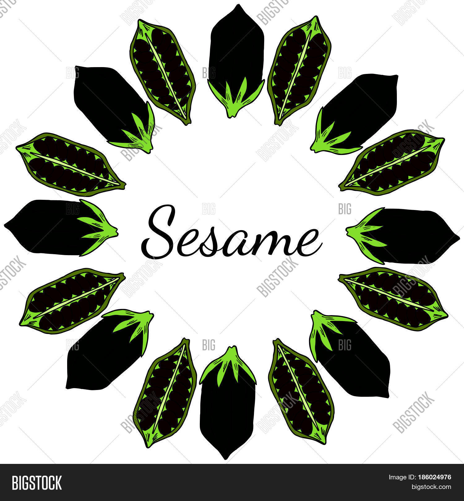 Sesame Seed Natural Vector & Photo (Free Trial) | Bigstock