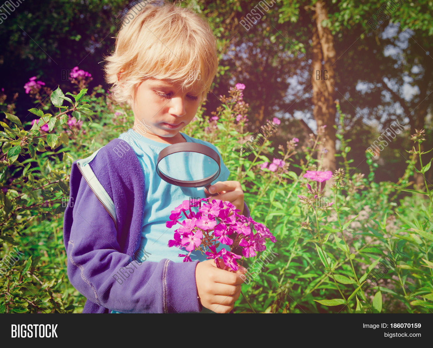 Kids Learning Nature Image & Photo (Free Trial) | Bigstock