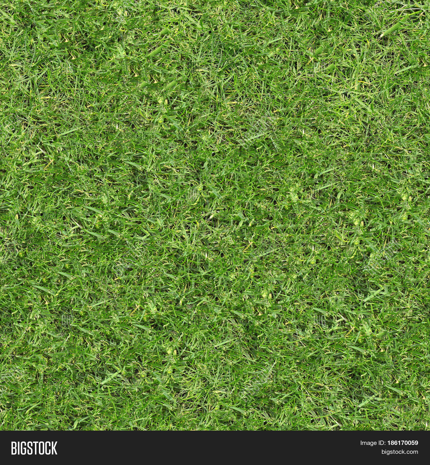 Green Grass Seamless Image & Photo (Free Trial) | Bigstock