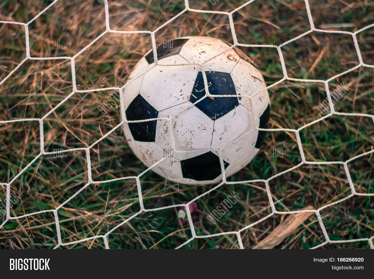 Image Soccer Ball Goal Image & Photo (Free Trial) | Bigstock