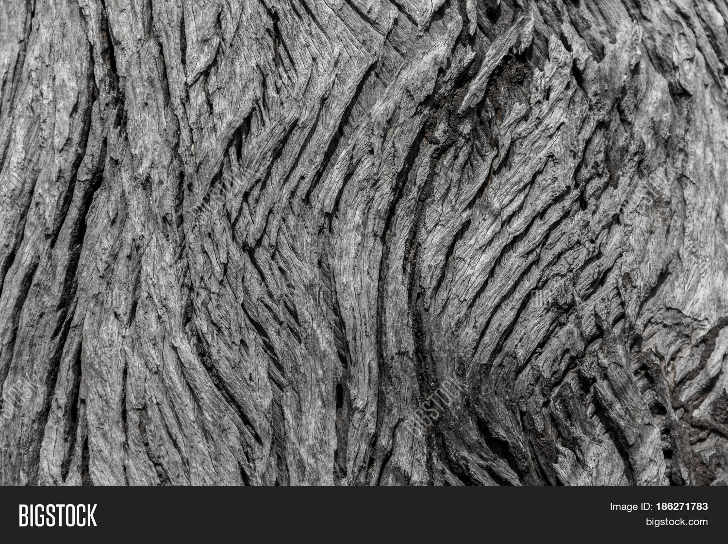 Old Rough Wood Texture Image & Photo (Free Trial) | Bigstock