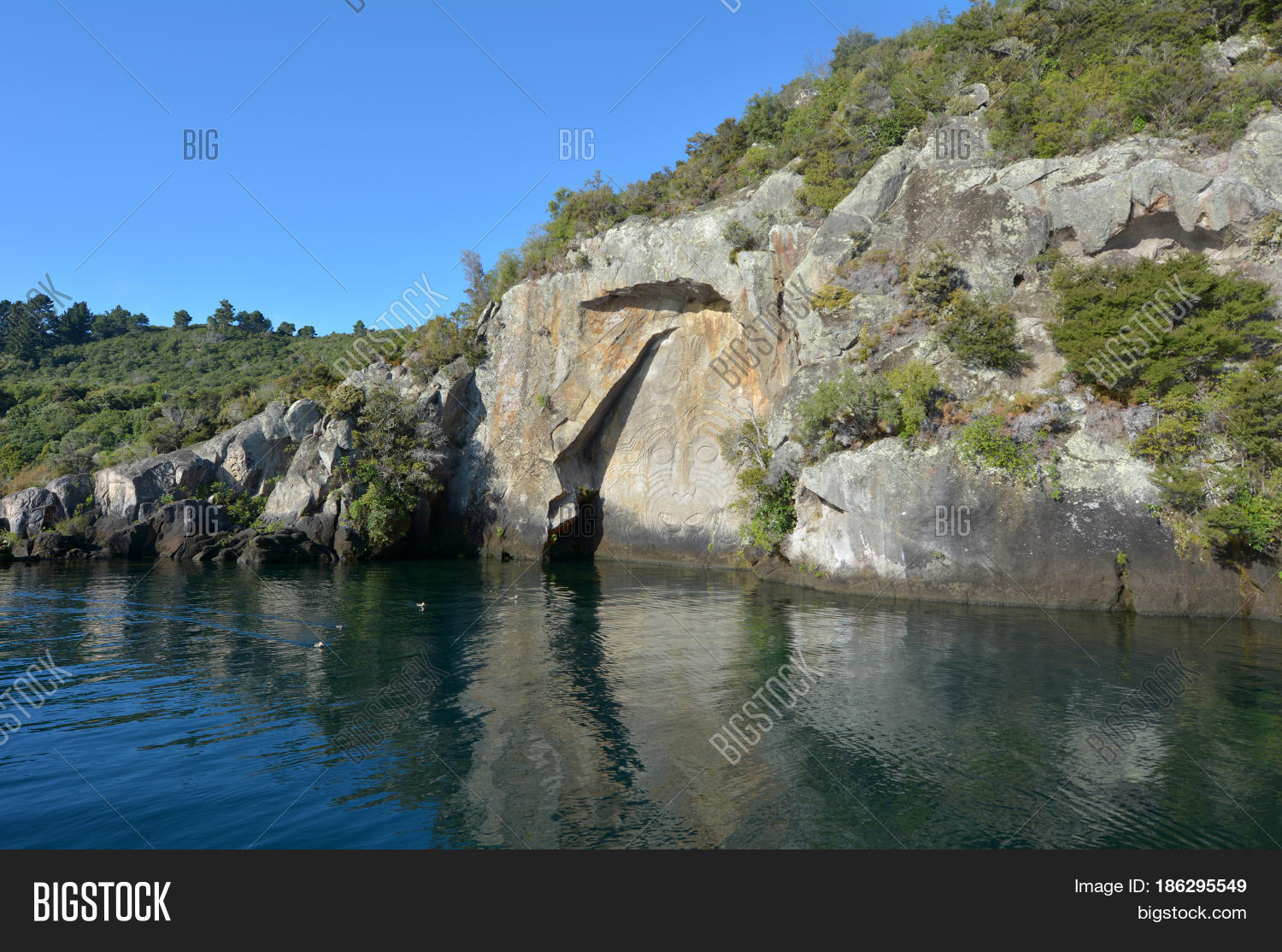 Maori Rock Carving Image & Photo (Free Trial) | Bigstock