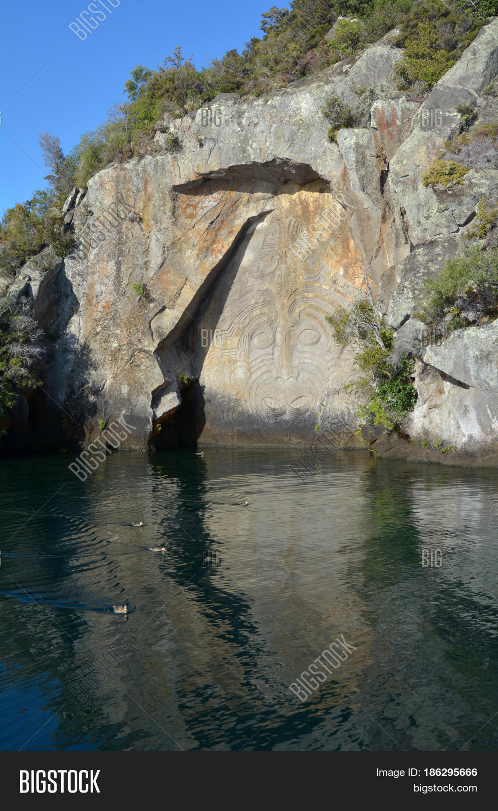 Maori Rock Carving Image & Photo (Free Trial) | Bigstock