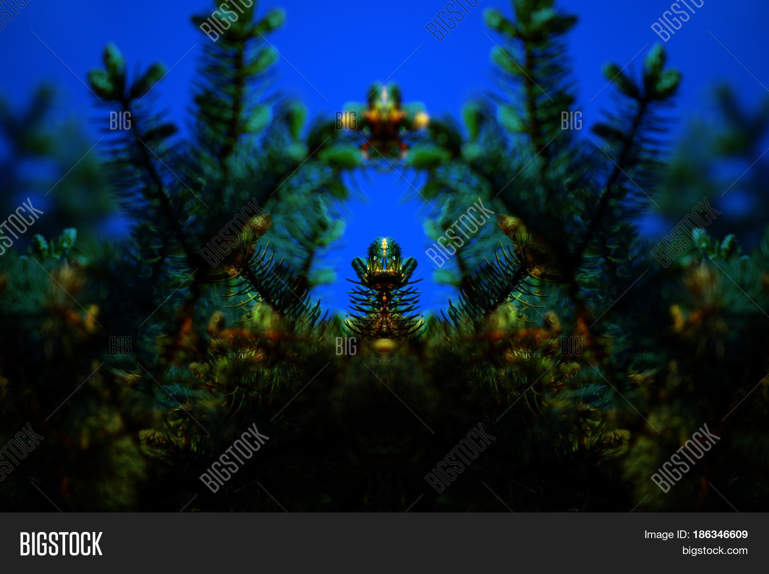 Amazing Textures Image & Photo (Free Trial) | Bigstock