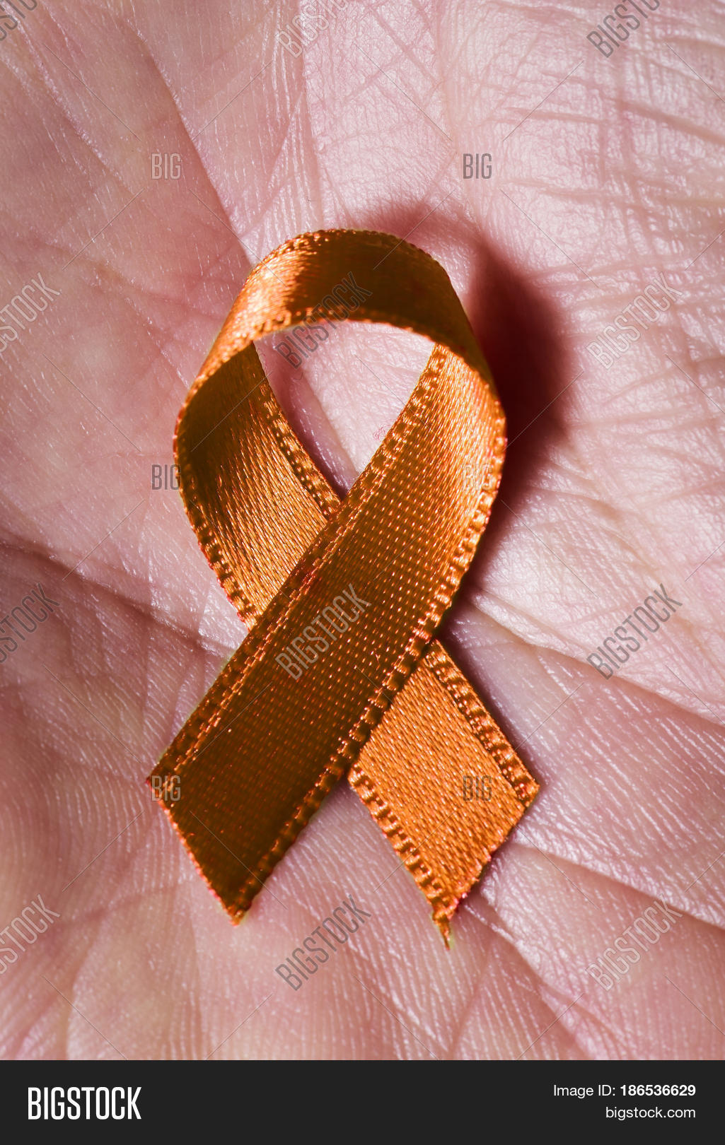 Closeup Orange Ribbon Image & Photo (Free Trial) | Bigstock