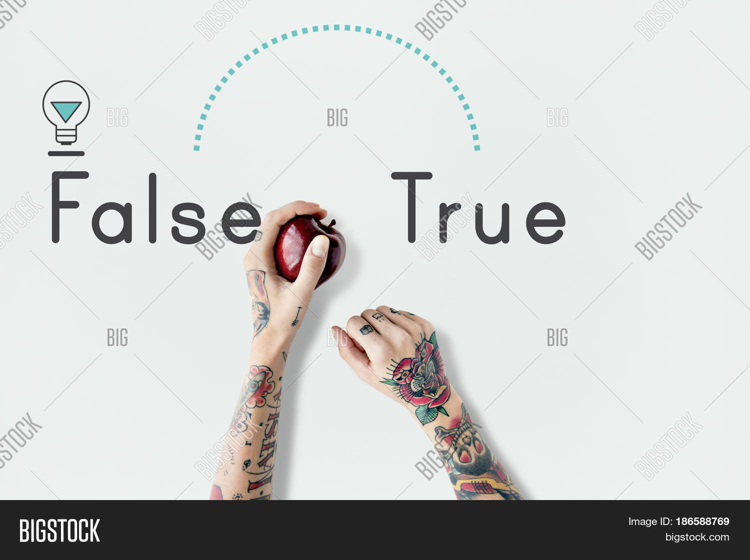 Antonym Opposite True Image & Photo (Free Trial) | Bigstock