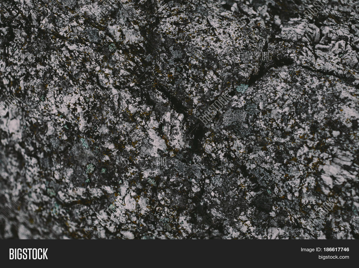 Rough Stone Surface. Image & Photo (Free Trial) | Bigstock