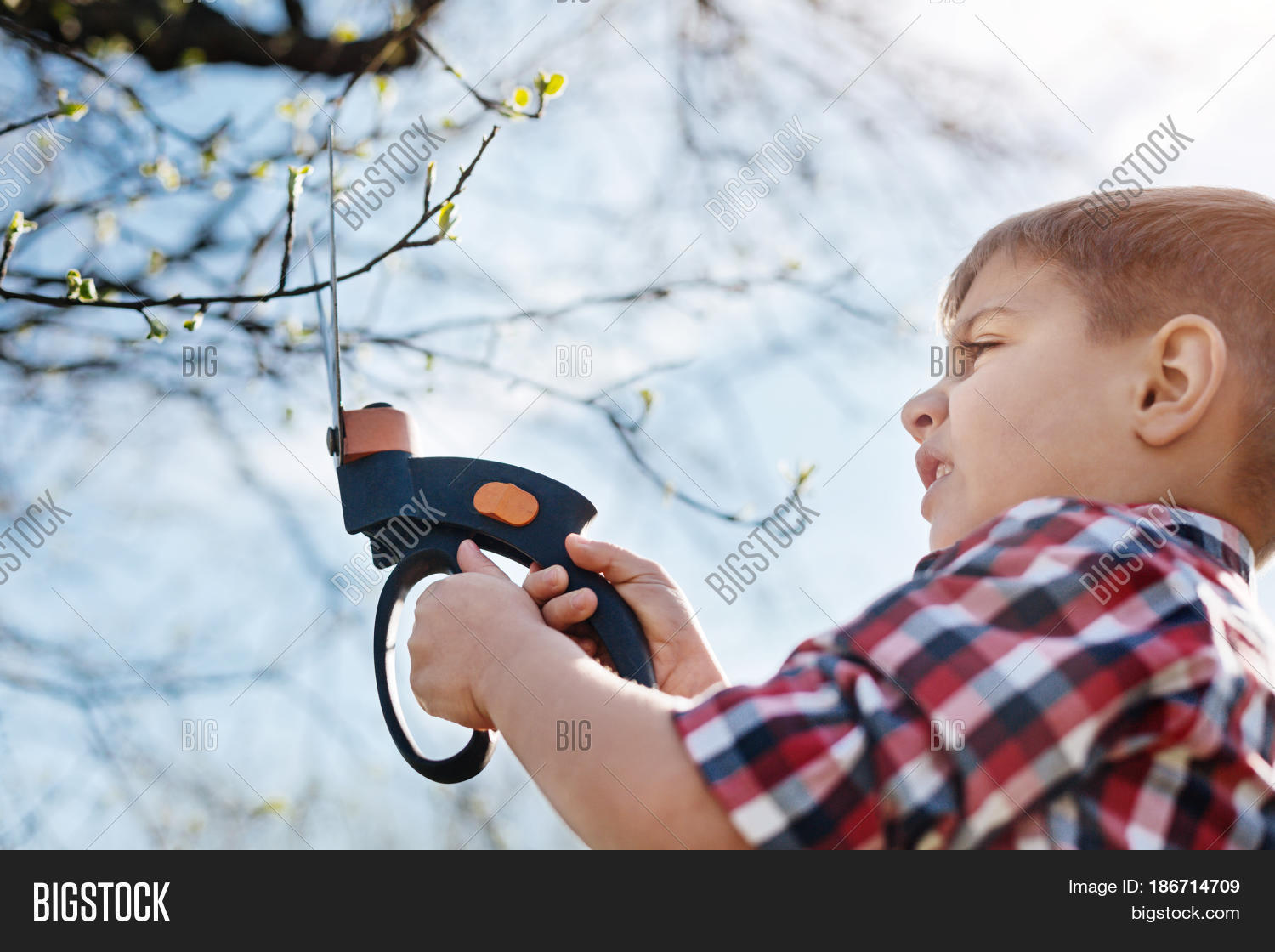 Little Image & Photo (Free Trial) | Bigstock