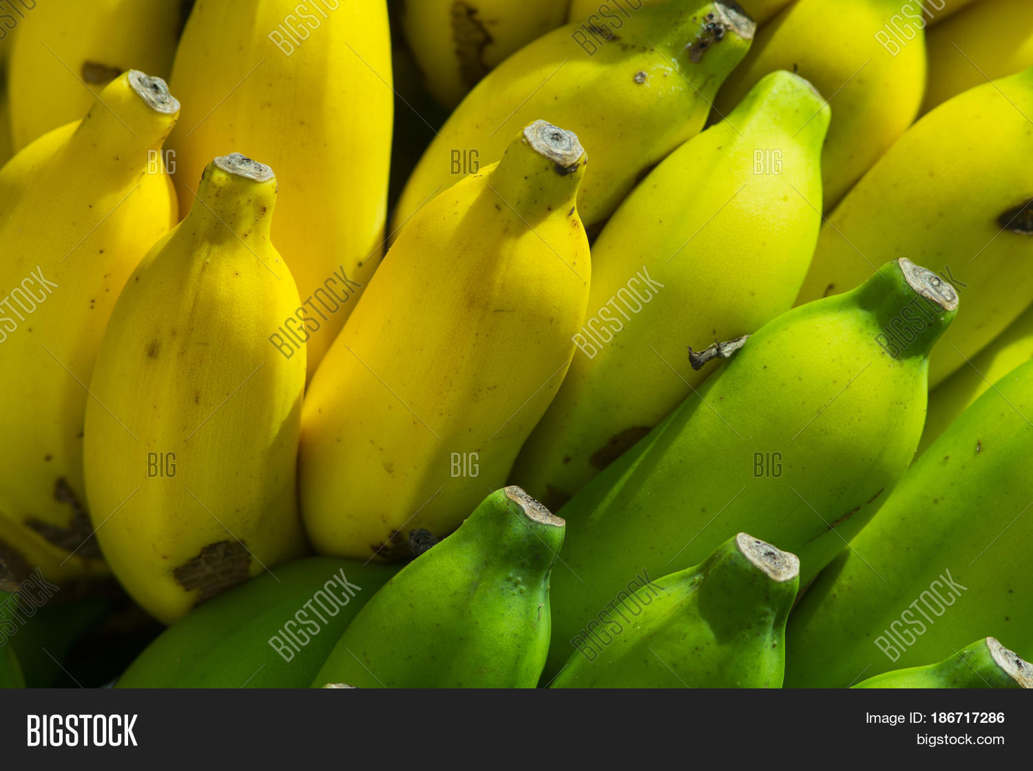 Tropical Fruit - Green Image & Photo (Free Trial) | Bigstock