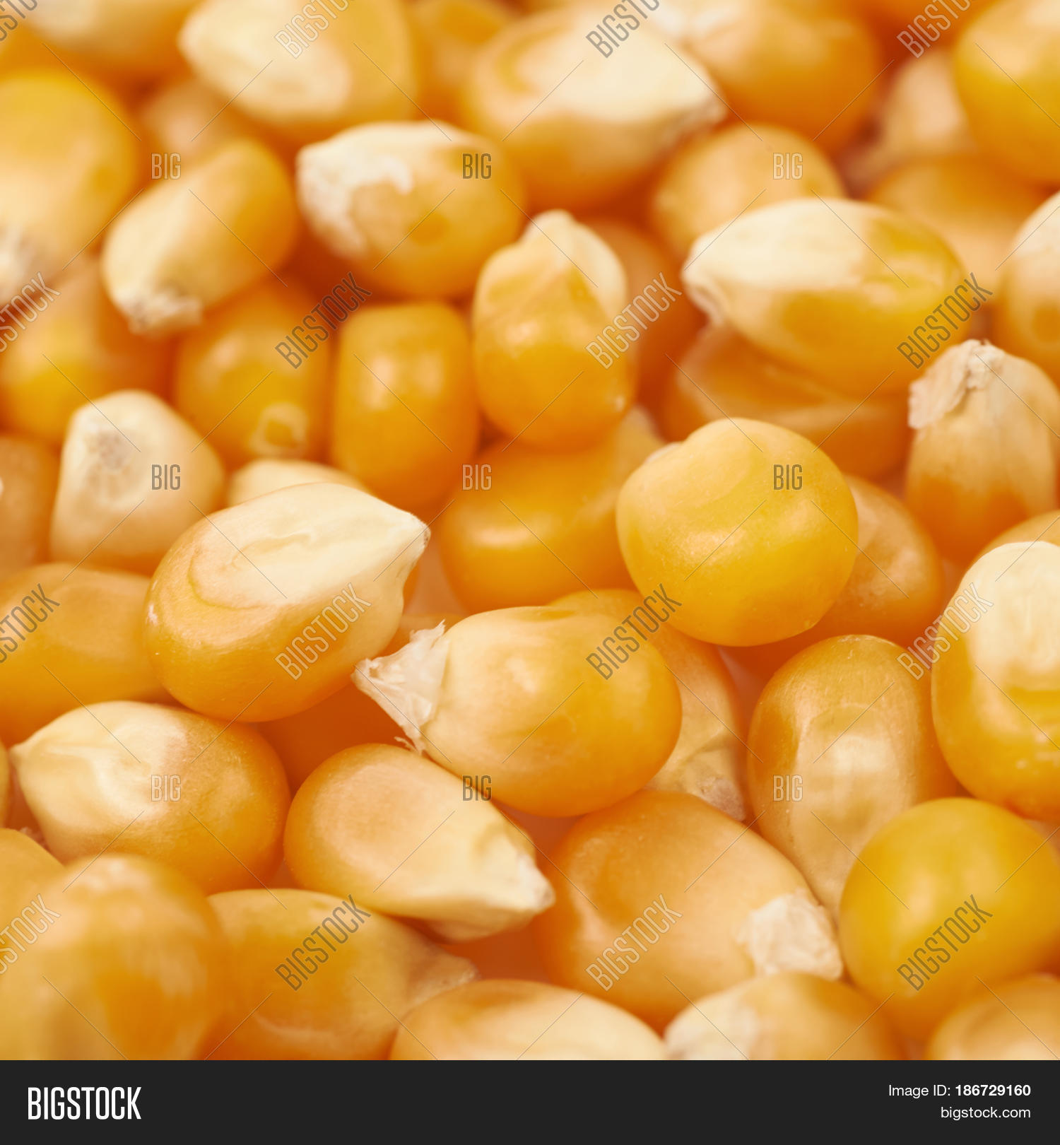 Surface Coated Image & Photo (Free Trial) | Bigstock