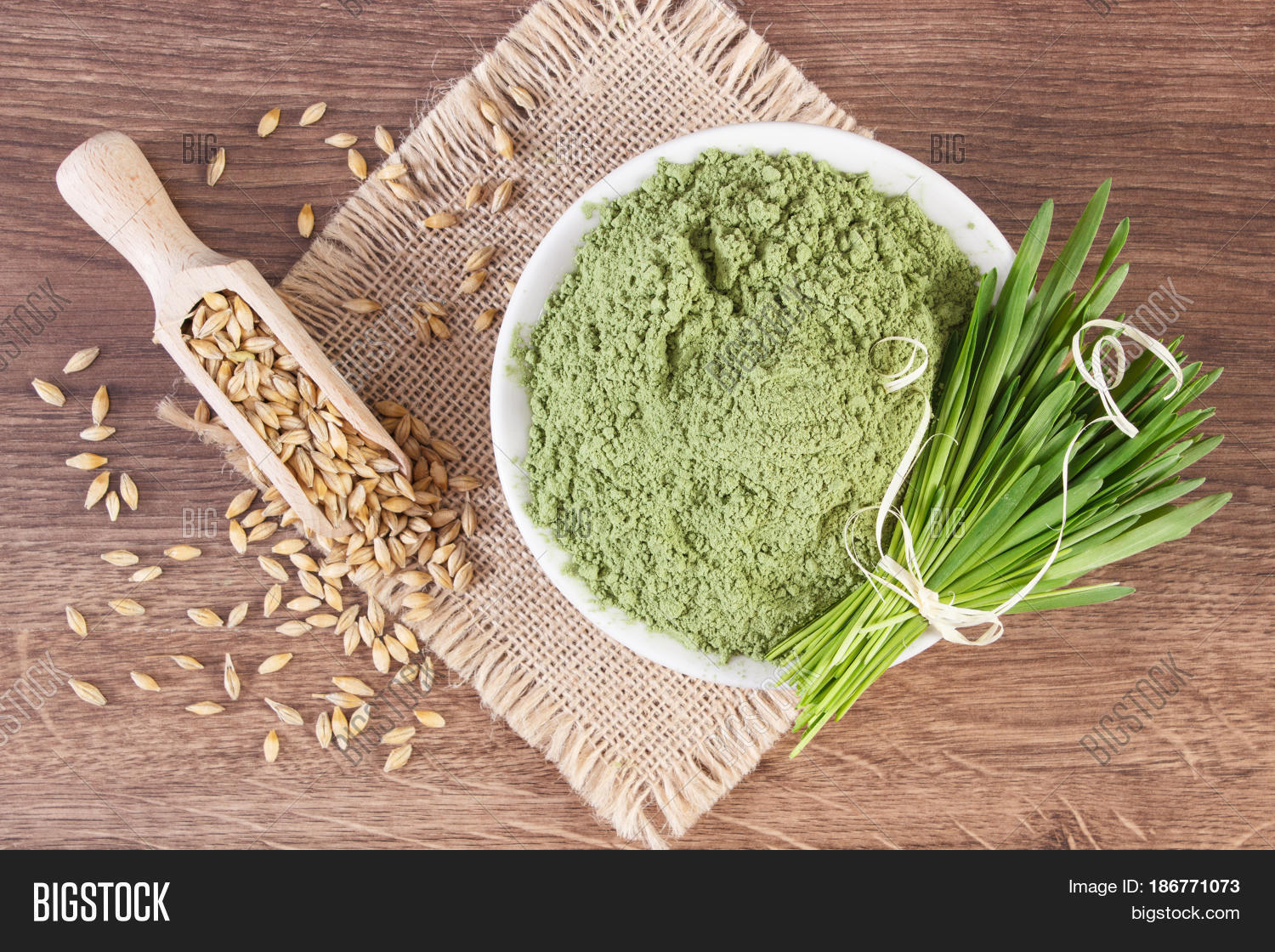 Young Powder Barley, Image & Photo (Free Trial) | Bigstock