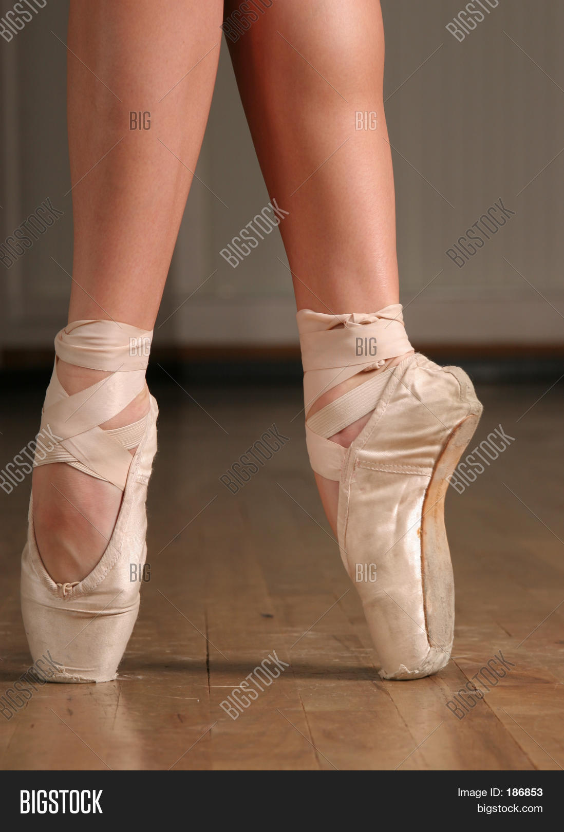 Ballerina's Point Image & Photo (Free Trial) | Bigstock
