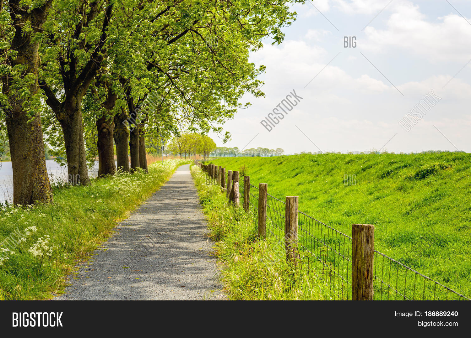 Seemingly Endless Path Image & Photo (Free Trial) | Bigstock