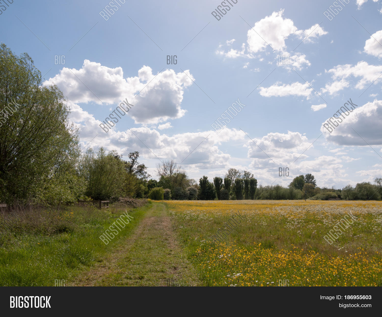 Peaceful Summer Scene Image & Photo (Free Trial) | Bigstock