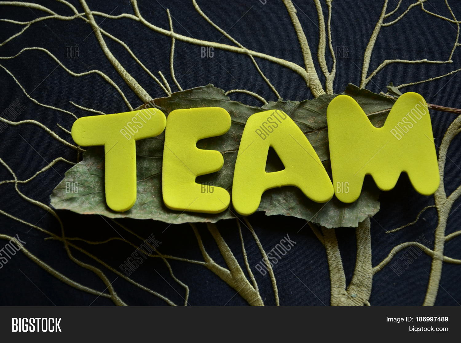 Word Team On Abstract Image & Photo (Free Trial) | Bigstock