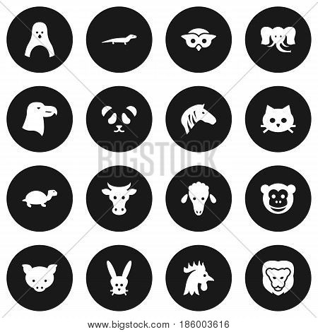 Set 16 Alive Icons Vector & Photo (Free Trial) | Bigstock
