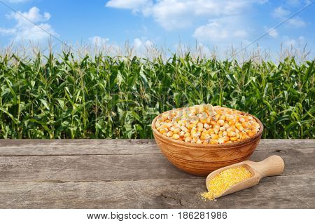 Uncooked Corn Seeds Image & Photo (Free Trial) | Bigstock