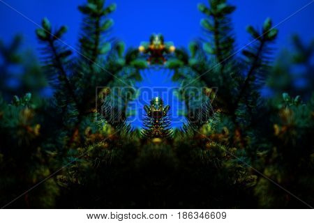 Amazing Textures Image & Photo (Free Trial) | Bigstock