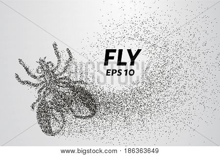 Fly Particles. Fly Vector & Photo (Free Trial) | Bigstock