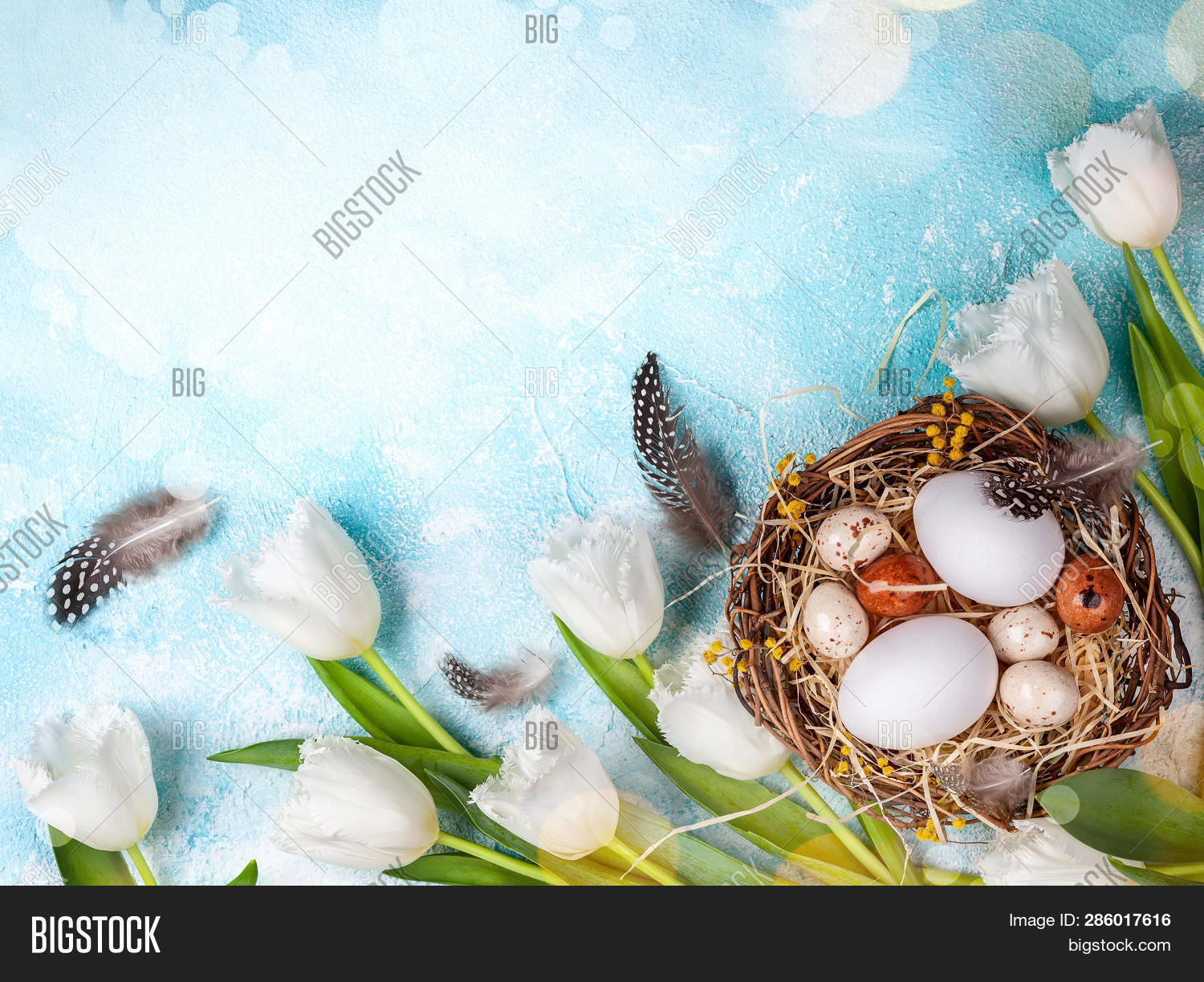 Easter Composition Image & Photo (Free Trial) | Bigstock