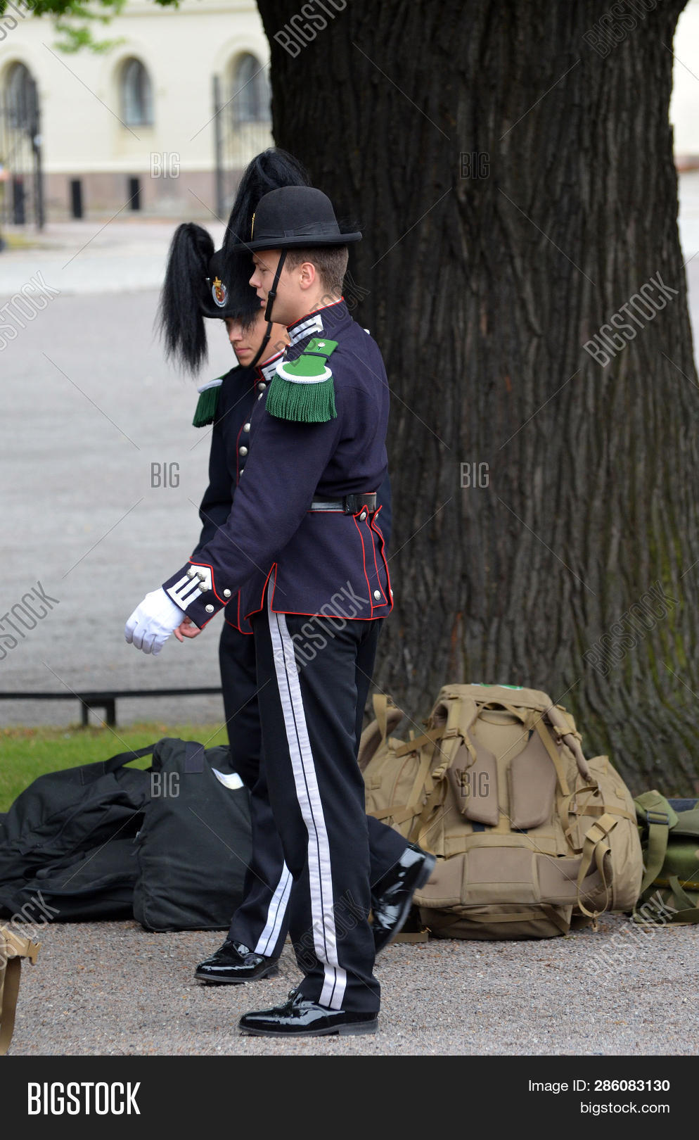 Norwegian King's Guard Image & Photo (Free Trial) | Bigstock