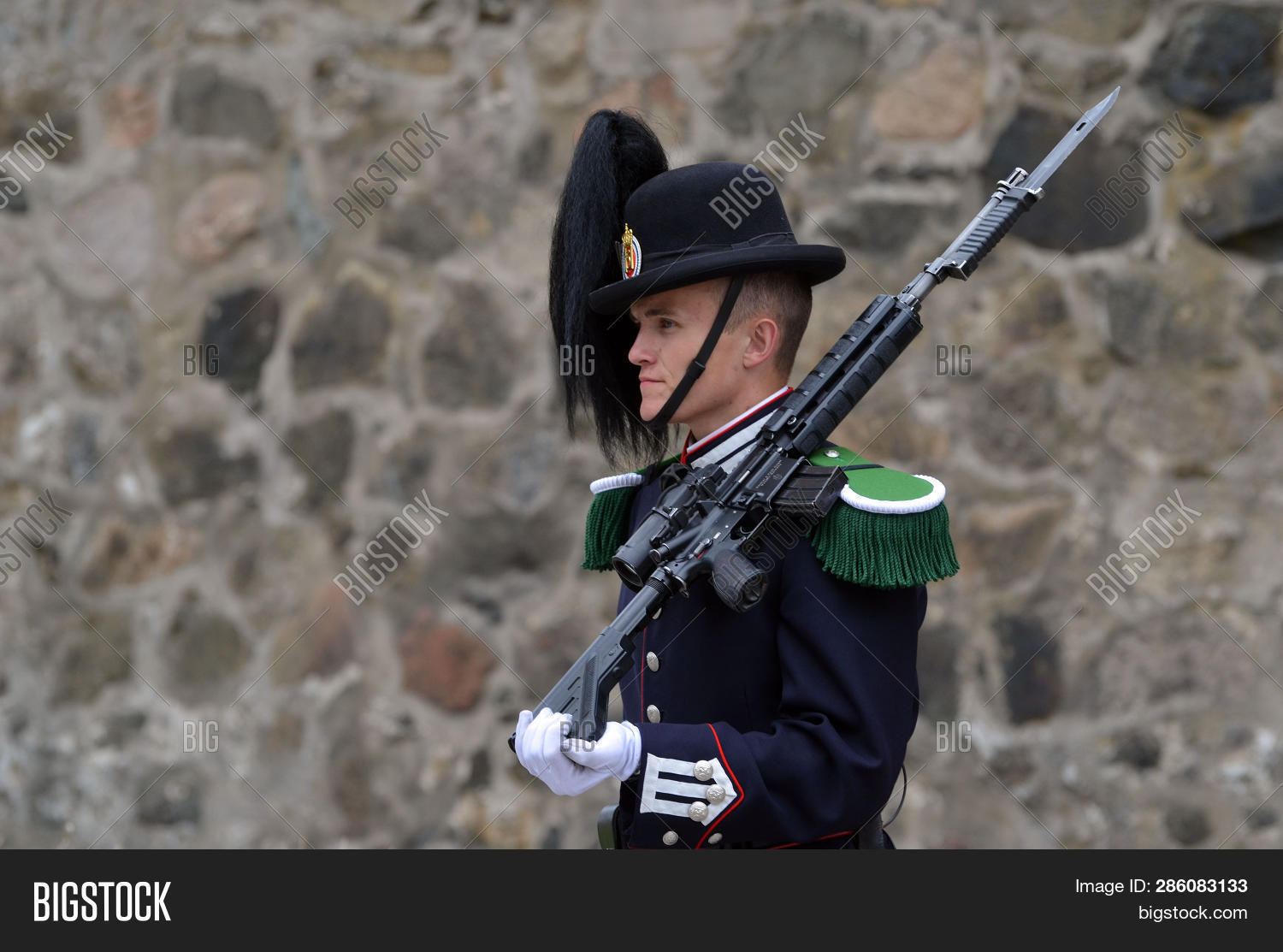 Norwegian King's Guard Image & Photo (Free Trial) | Bigstock