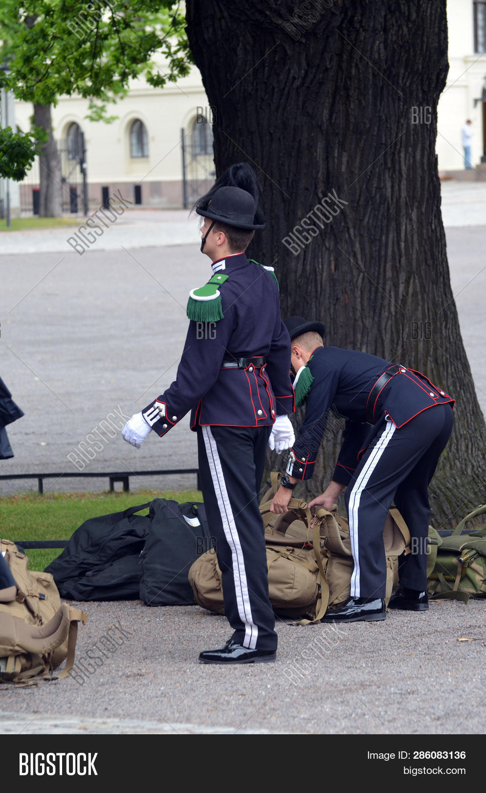 Norwegian King's Guard Image & Photo (Free Trial) | Bigstock