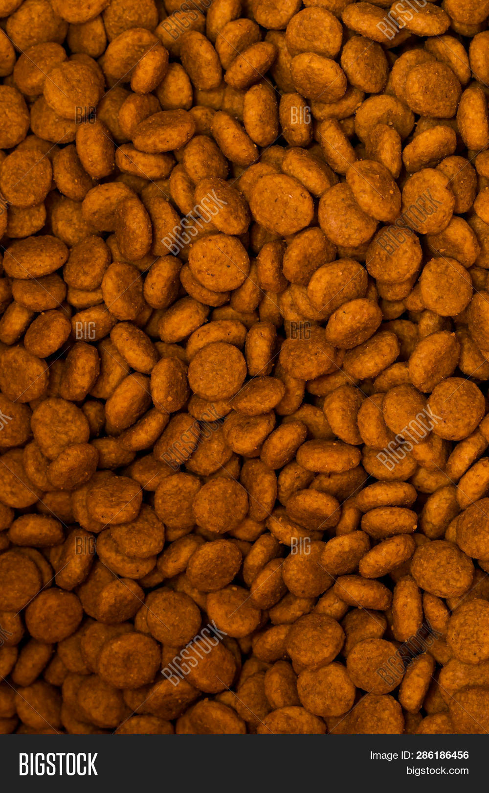 Pet Kibbles Close-. Image & Photo (Free Trial) | Bigstock