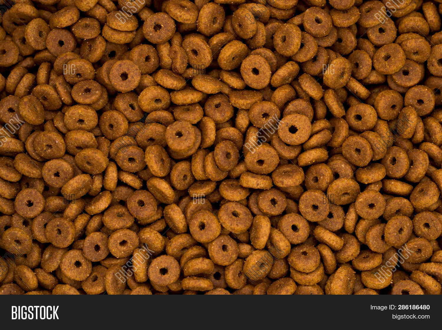 Pet Kibbles Close-. Image & Photo (Free Trial) | Bigstock