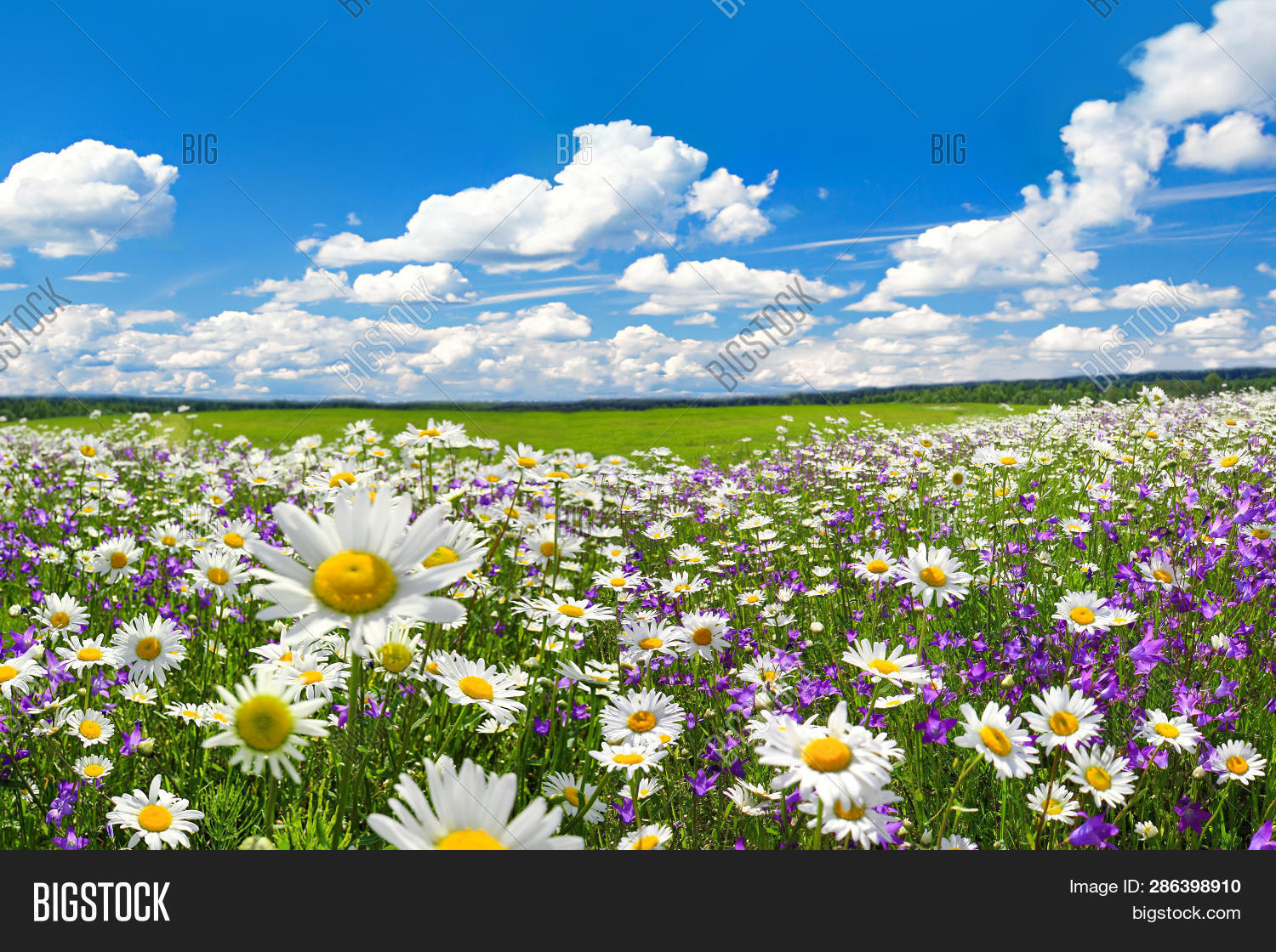 Spring Landscape Image & Photo (Free Trial) | Bigstock