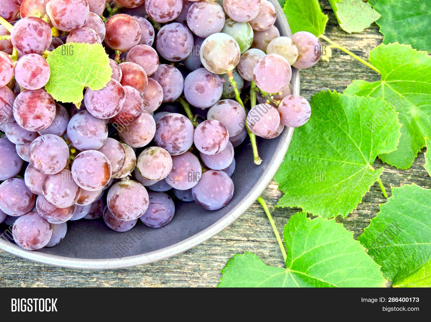Imagen y foto Fresh Grapes. (prueba gratis) | Bigstock