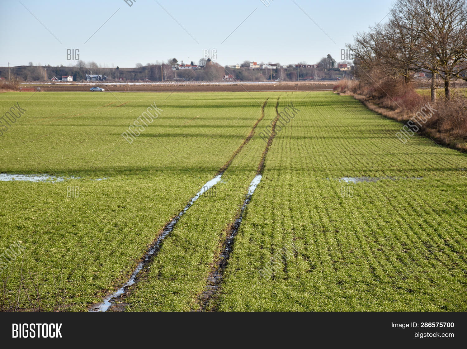 Wet Tractor Tracks Image & Photo (Free Trial) | Bigstock