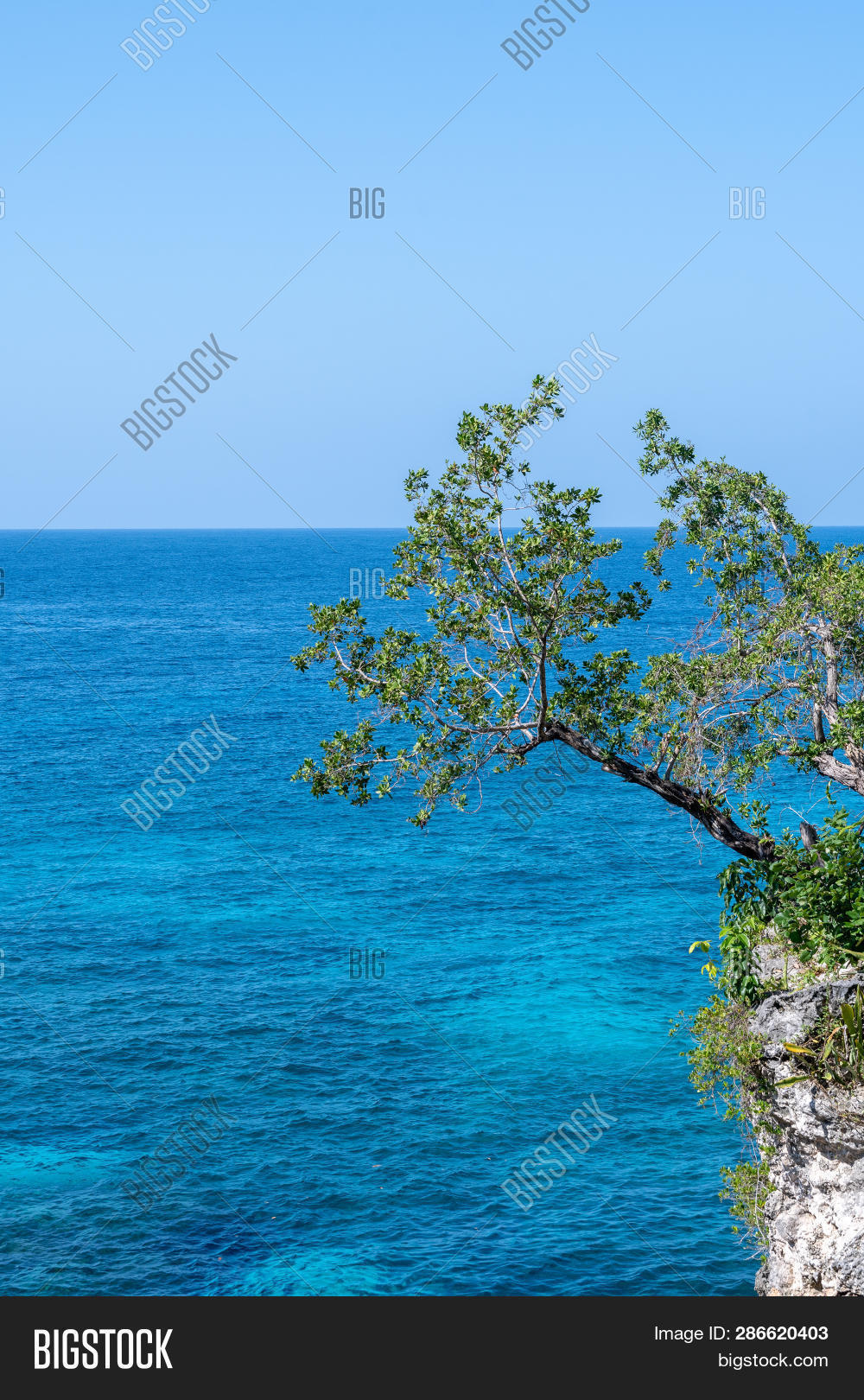 Tropical Ocean Image & Photo (Free Trial) | Bigstock