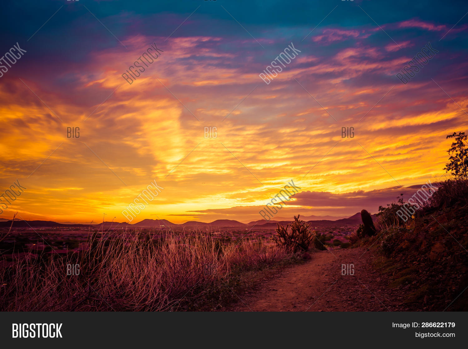Trail Through Desert Image & Photo (Free Trial) | Bigstock