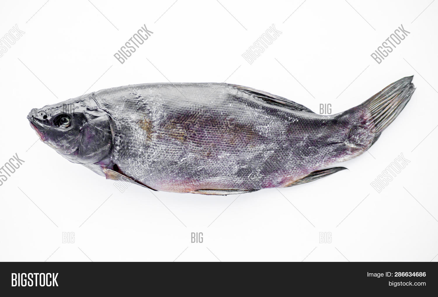 Dried Fish On White Image & Photo (Free Trial) | Bigstock