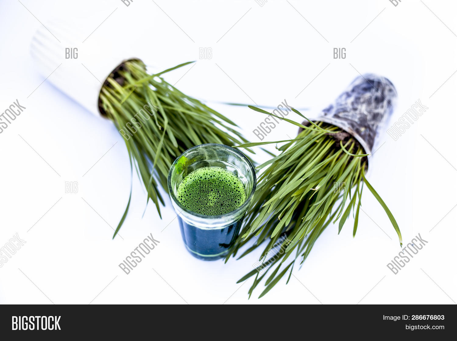 Wheatgrass Extract/ Image & Photo (Free Trial) | Bigstock
