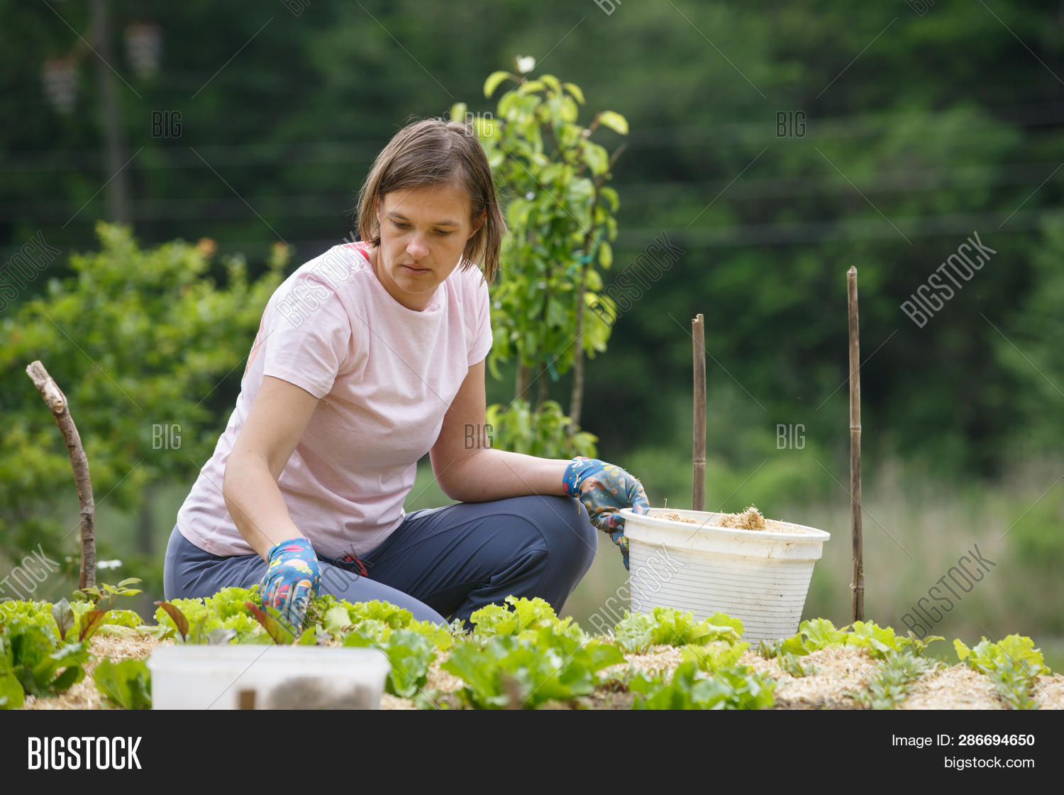 Woman Gardener Image & Photo (Free Trial) | Bigstock