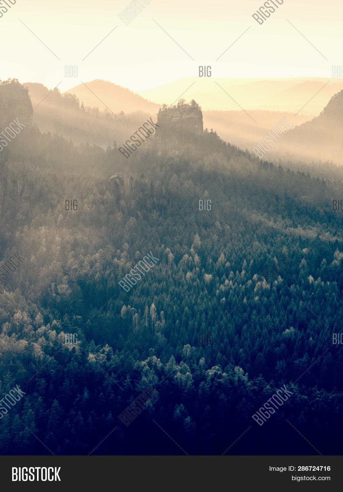 Beautiful Sunbeam Image & Photo (Free Trial) | Bigstock