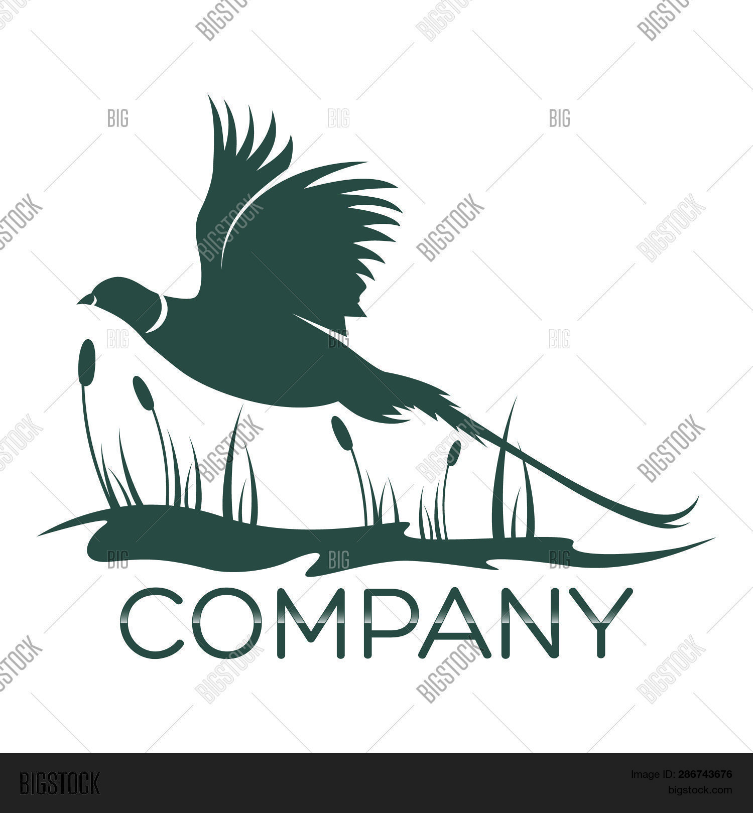 Modern Pheasant Logo Vector & Photo (Free Trial) | Bigstock