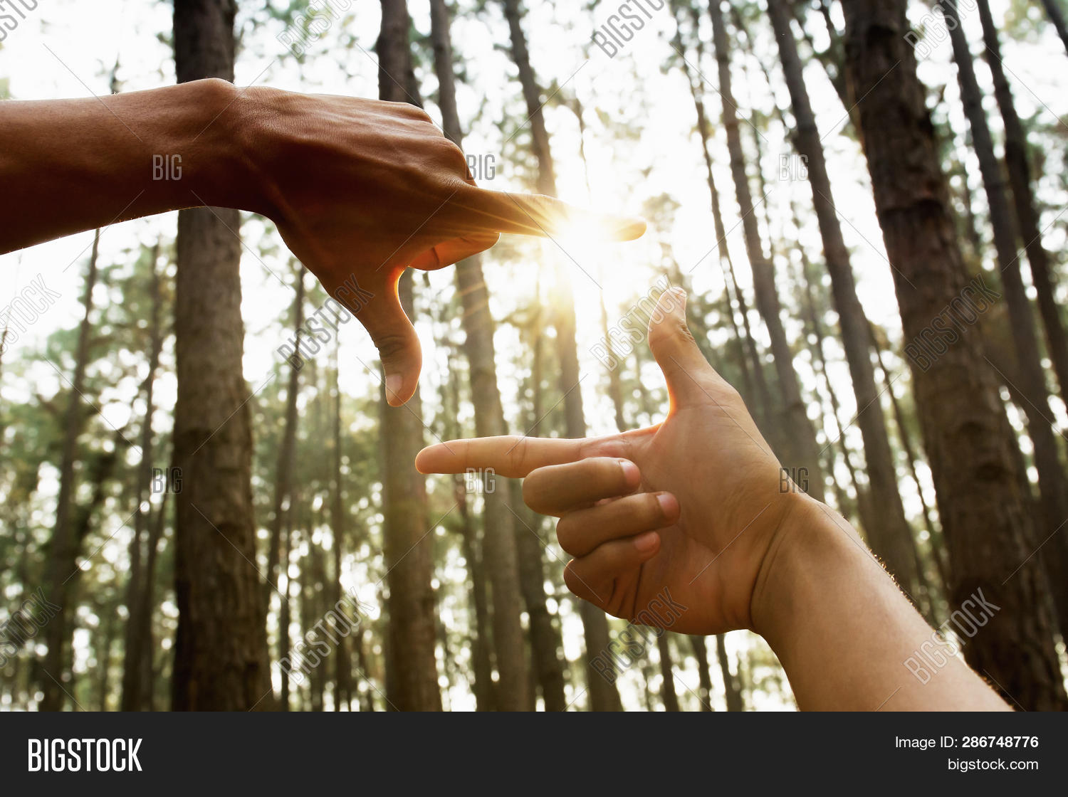 Hand Framing Distant Image & Photo (Free Trial) | Bigstock