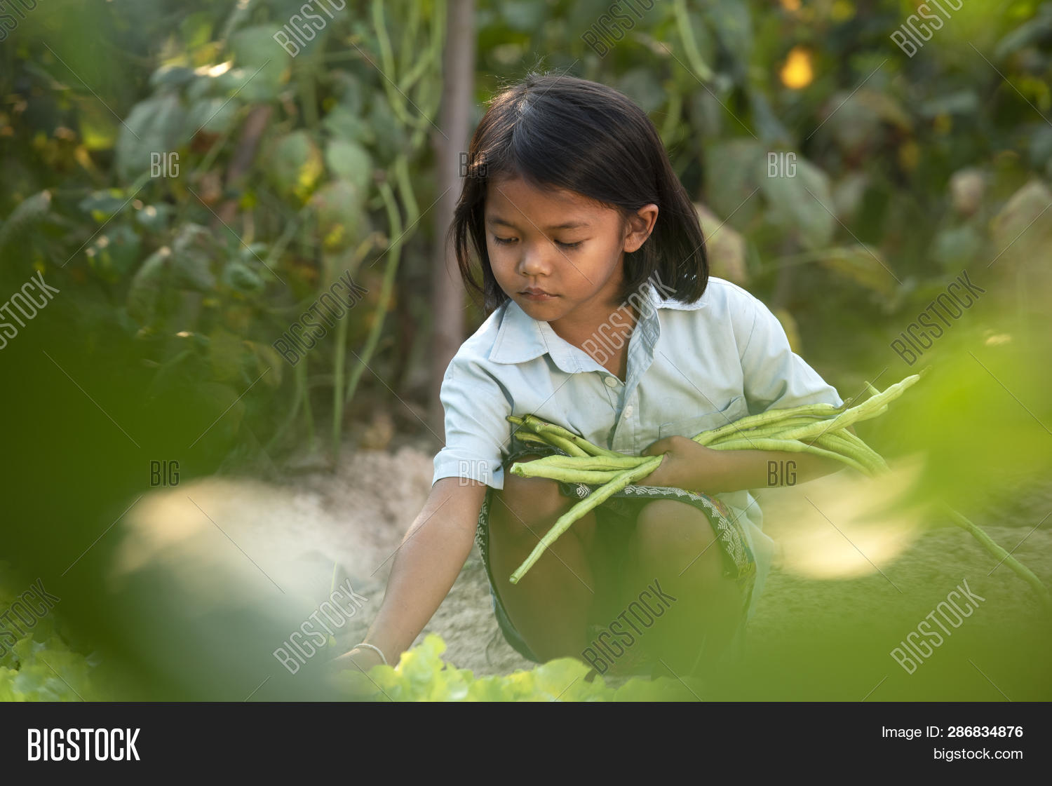 Poverty, Portrait Poor Image & Photo (Free Trial) | Bigstock