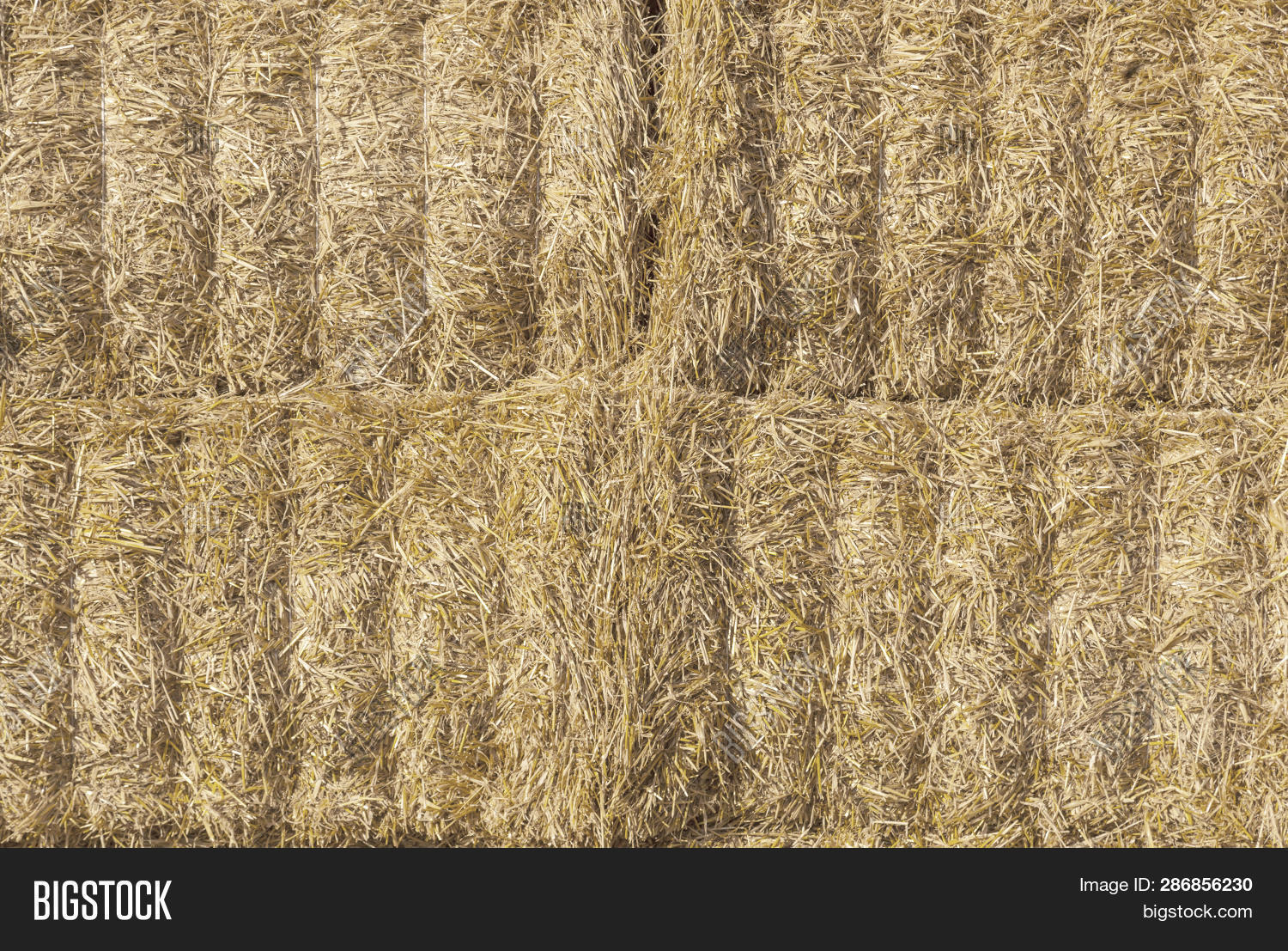 Detil Stacked Hay Image & Photo (Free Trial) | Bigstock