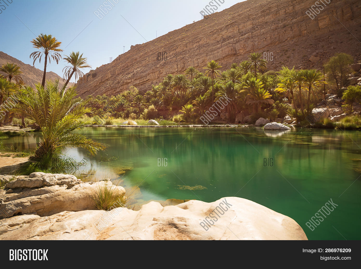 Amazing Lake Oasis Image & Photo (Free Trial) | Bigstock