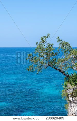Tropical Ocean Image & Photo (Free Trial) | Bigstock