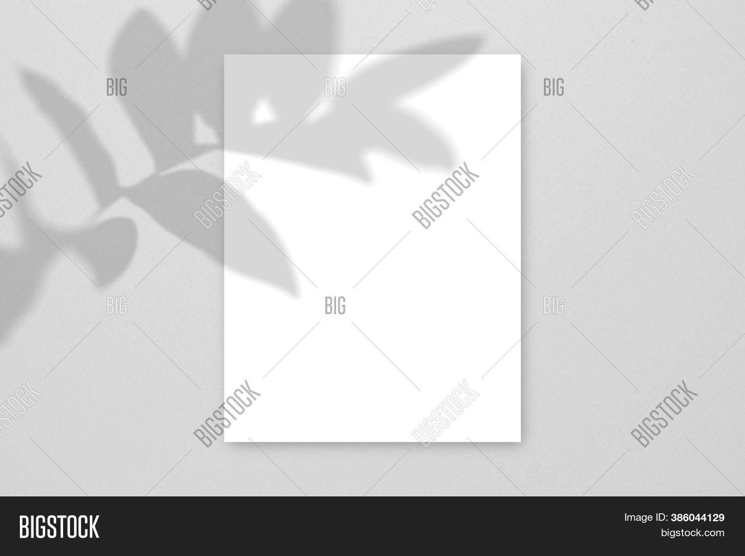 Blank Vertical Paper Image & Photo (Free Trial) | Bigstock