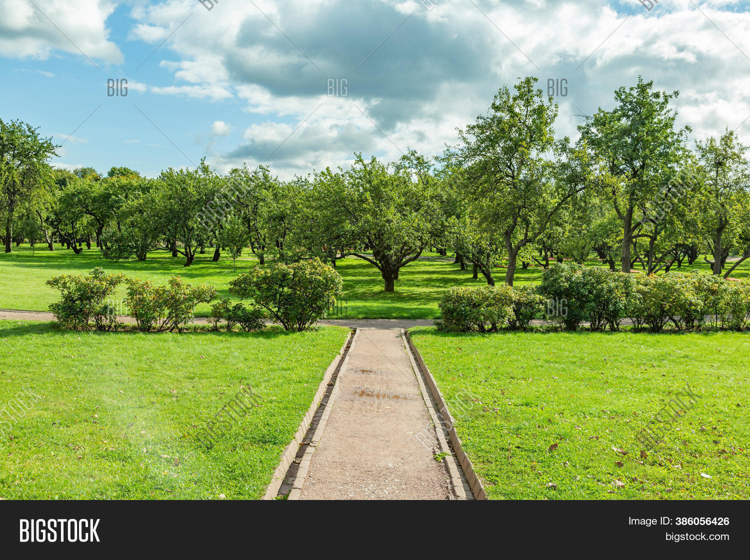 Path Pedestrians Image & Photo (Free Trial) | Bigstock