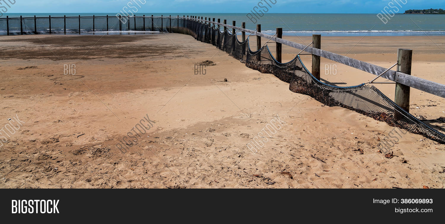 Netted Swimming Image & Photo (Free Trial) | Bigstock